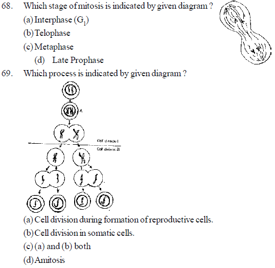 NEET UG Biology Cell Cycle and Cell Divisions MCQs, Multiple Choice ... NEET UG Biology Cell Cycle and Cell Divisions MCQs, Multiple Choice ...
